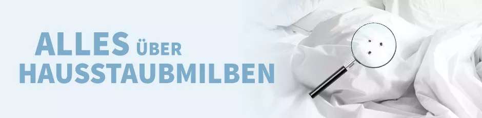 Hausstaubmilben bekämpfen + Alles wichtige zur Milbe